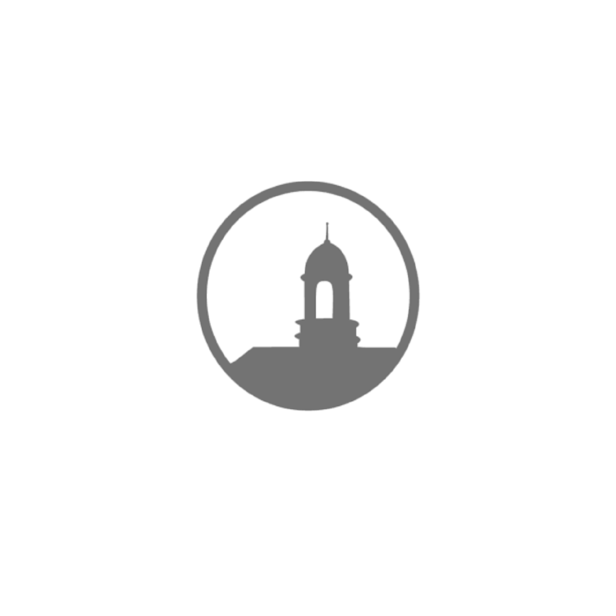 Company – Switch Technologies